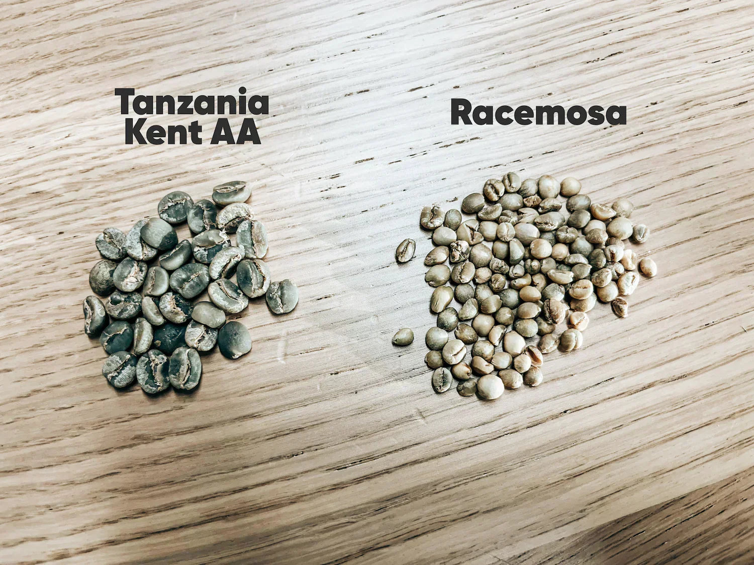 Unika kaffevarianter att hålla utkik efter 2025 – Green Coffee Collective