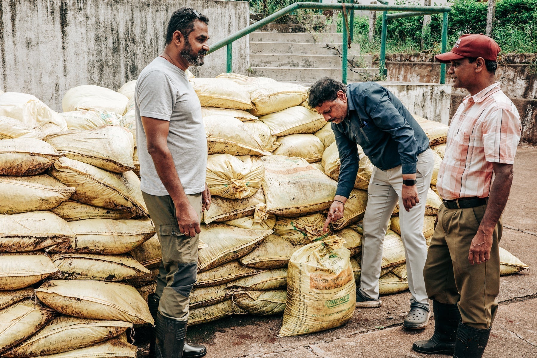 Arabica Coffee: The Specialty Species Explained | GCC – Green Coffee ...