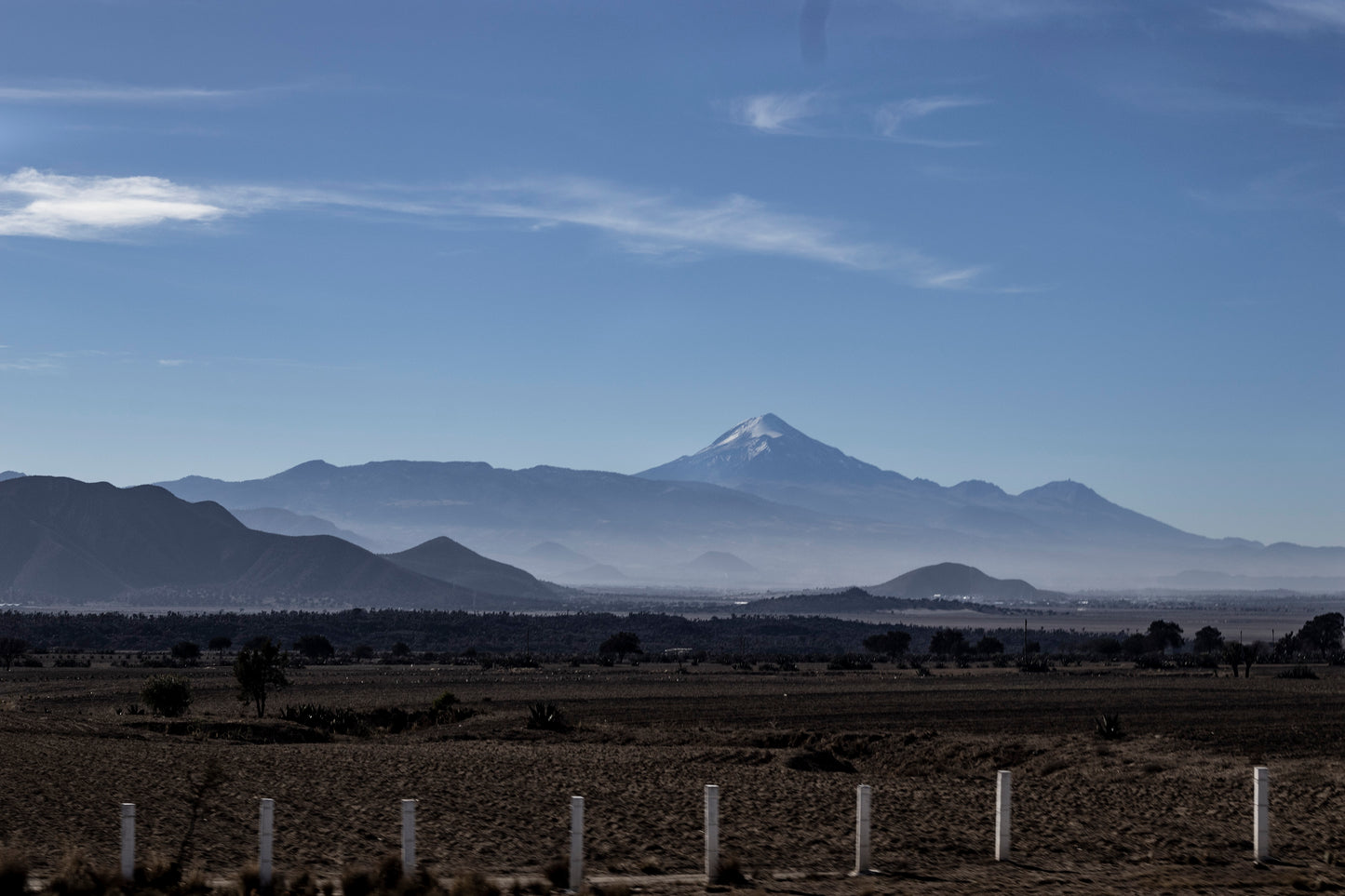 MW Decaf Quetzal (Oogst 2024) – Green Coffee Collective