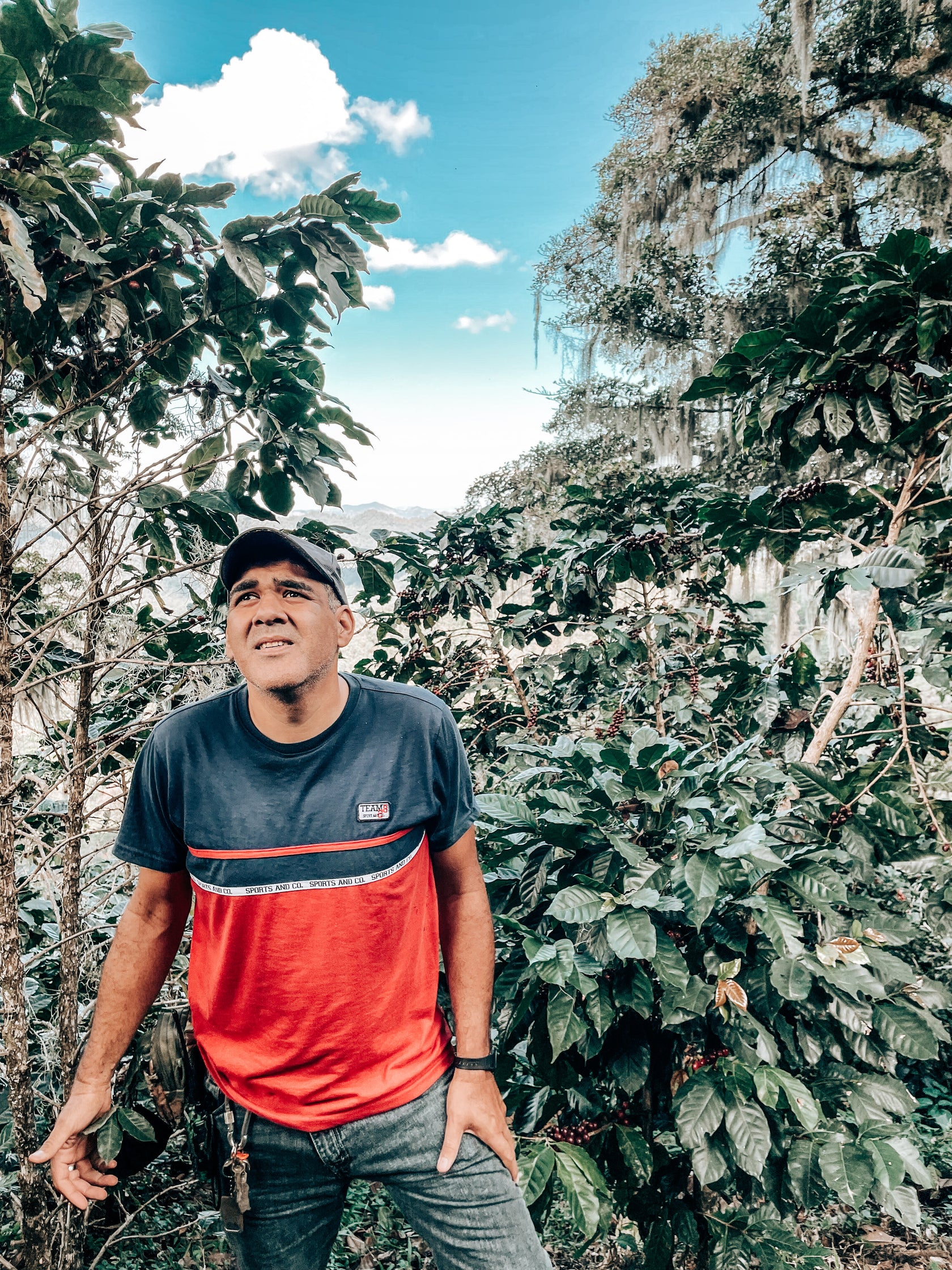 Rancho Morelia | Mexican Extended Fermentation Coffee Beans – Green ...